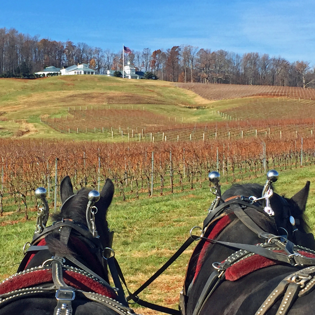 Winery Events | Trump Winery