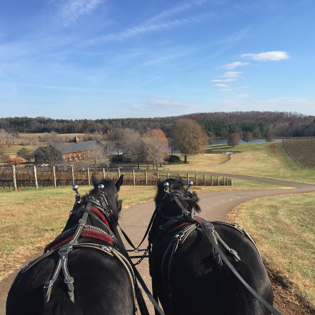 Winery Events | Trump Winery